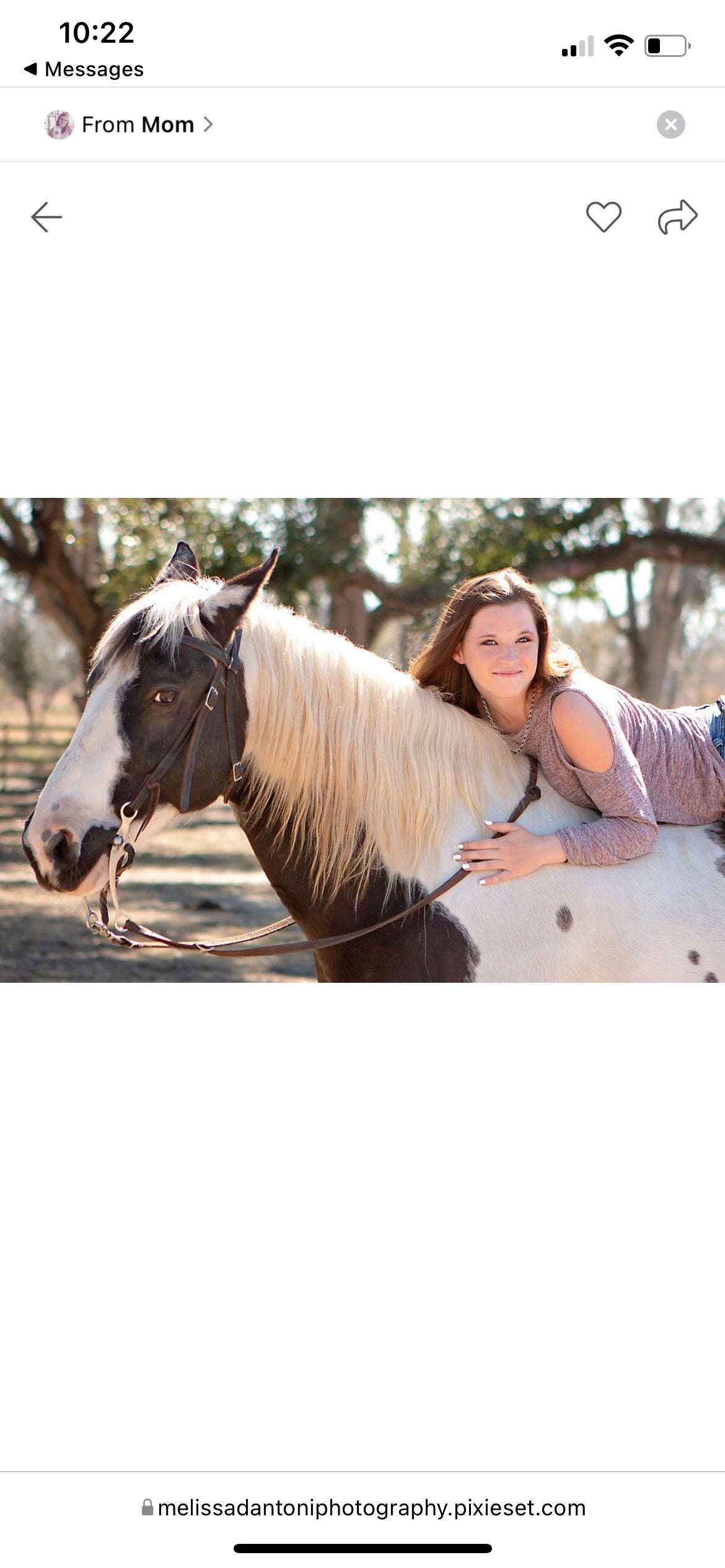 Horseback Riding | Almosta Ranch LLC