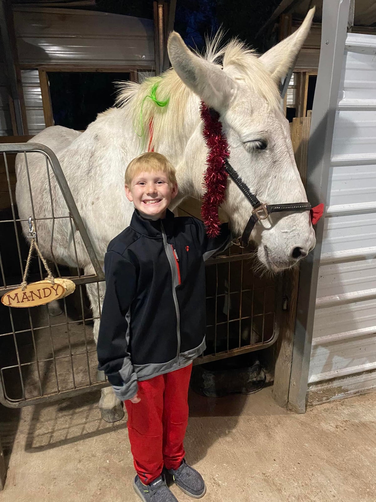 Horseback Riding | Almosta Ranch LLC