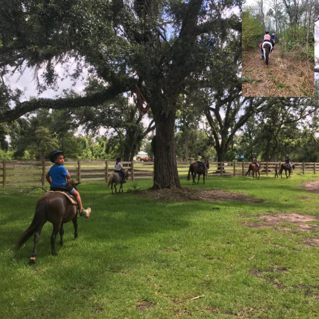 Home | Almosta Ranch LLC