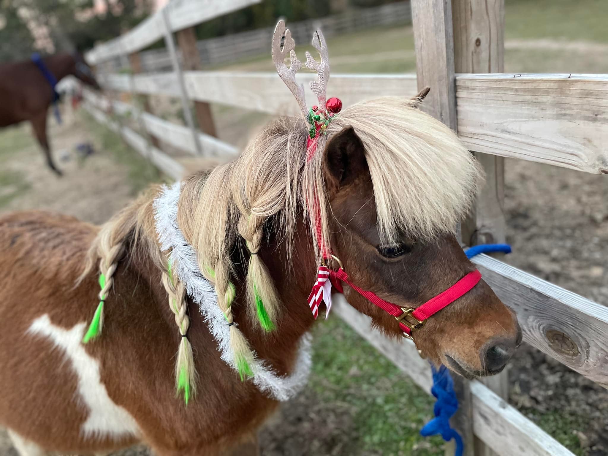 Horseback Riding | Almosta Ranch LLC