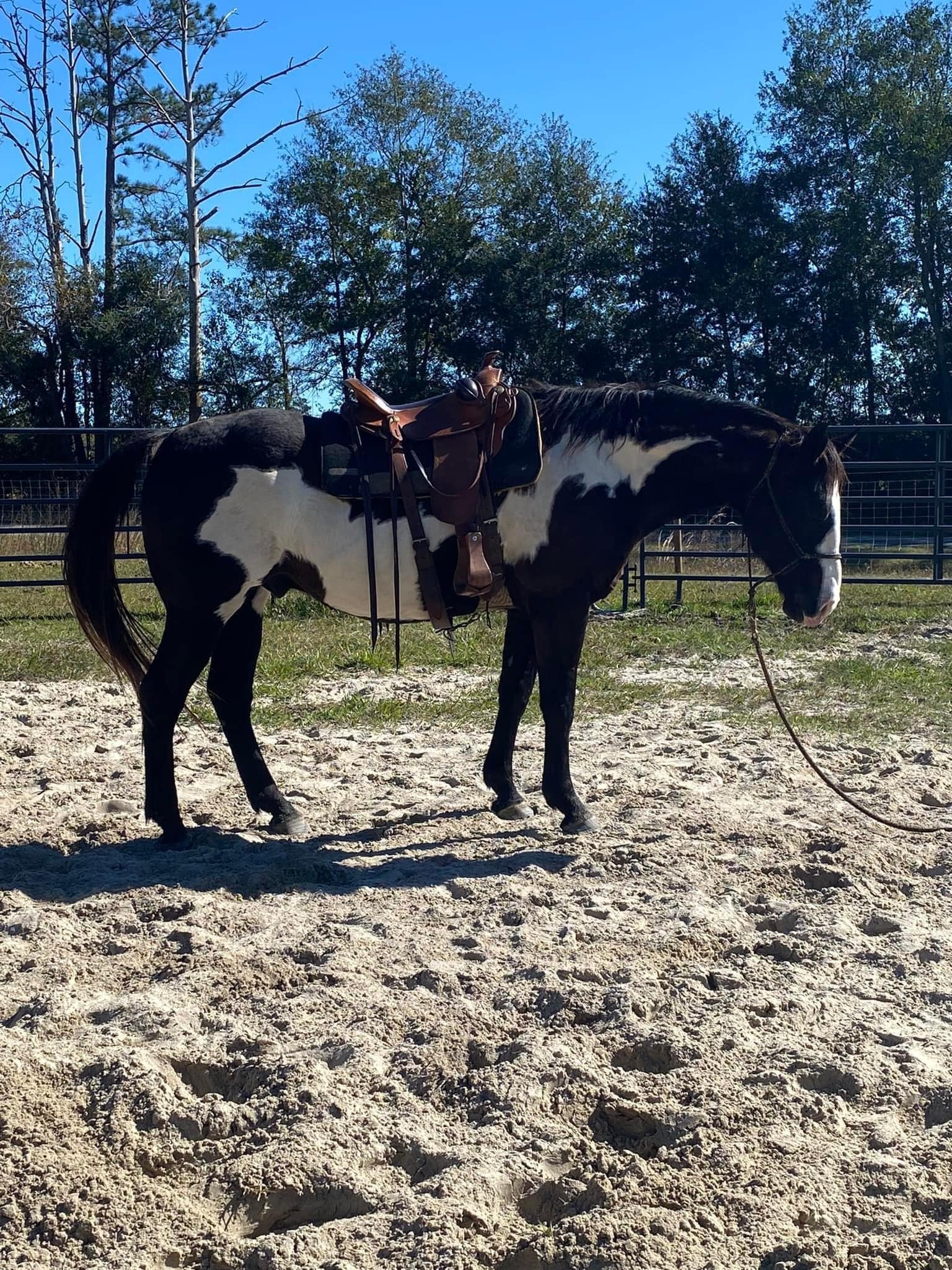 Horseback Riding | Almosta Ranch LLC