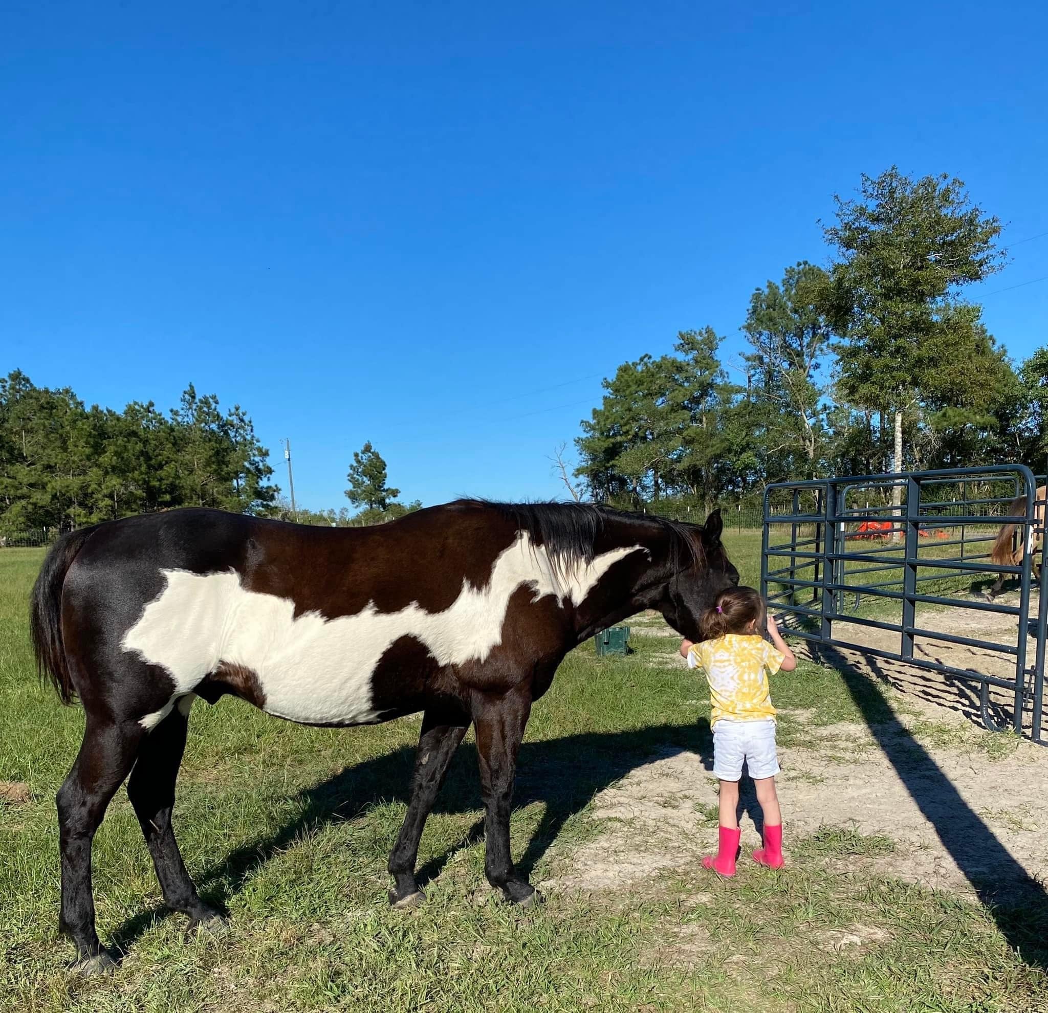 Horseback Riding | Almosta Ranch LLC