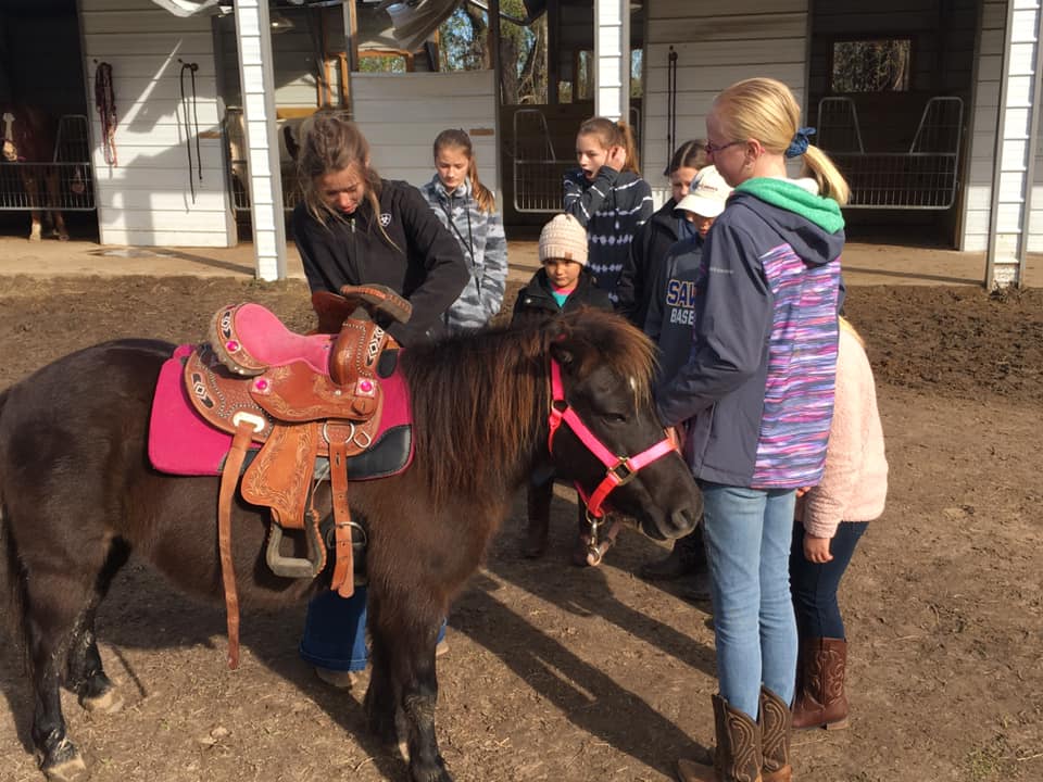 Horseback Riding | Almosta Ranch LLC